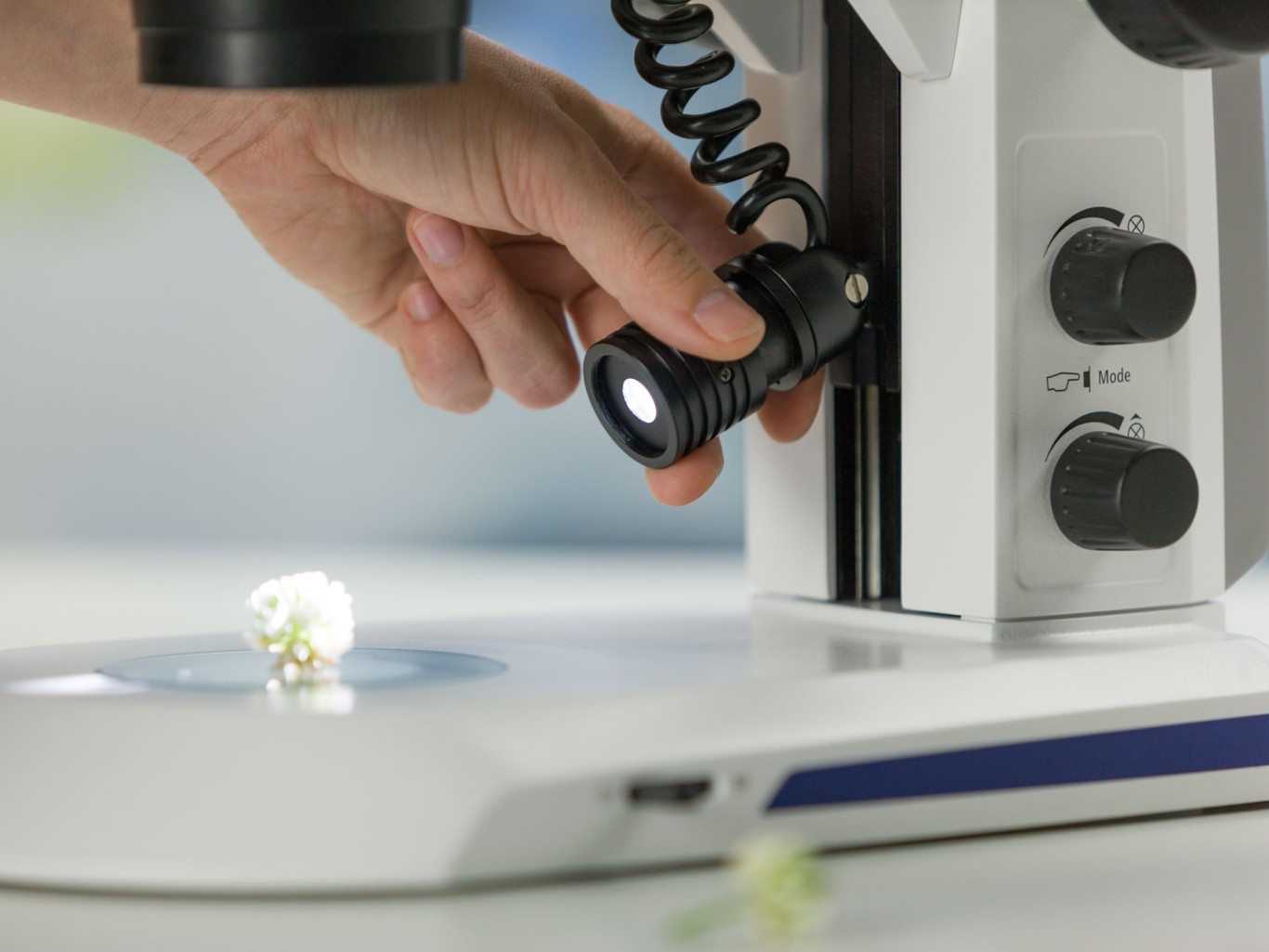ZEISS Stemi 305 EDU support de microscope K